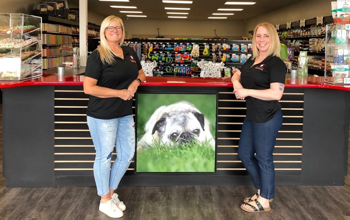 About Us | Julz Animal Houz